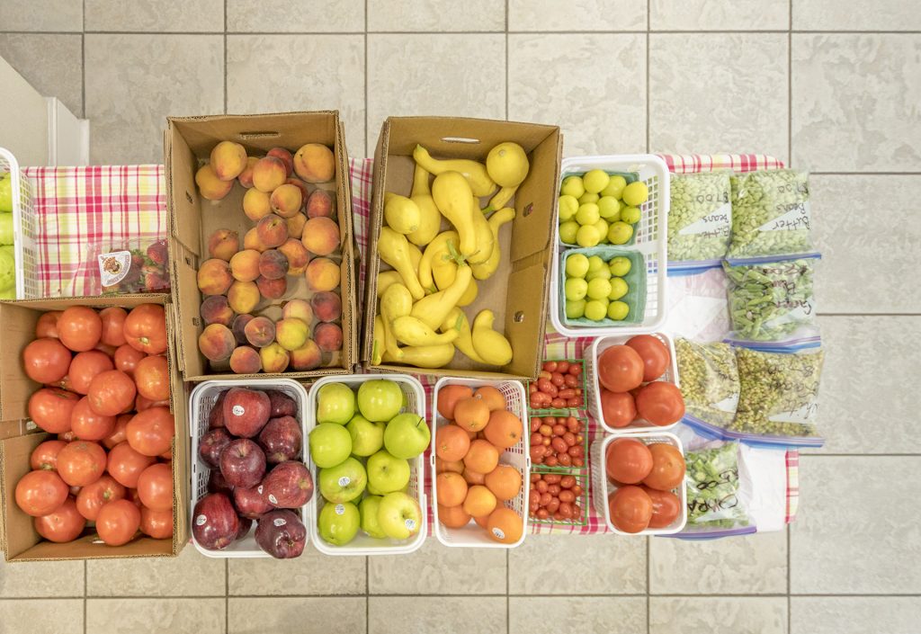 Combatting pediatric obesity | College of Community Health Sciences